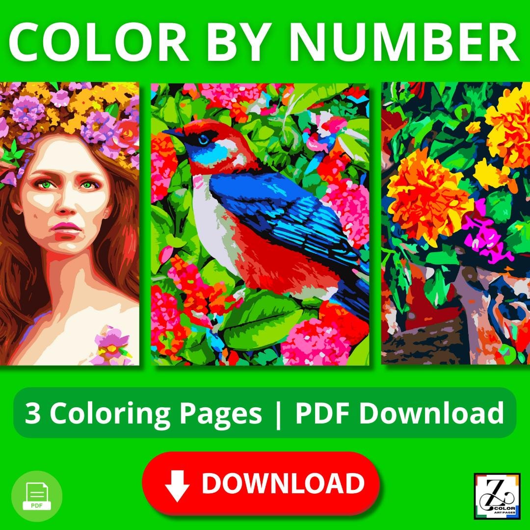 Color by Number Art Set – 3 Pages | Digital & Printable Coloring ...