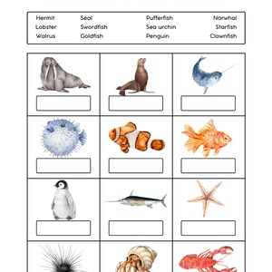 Ultimate Ocean Learning Pack 53 PAGES - Etsy Australia