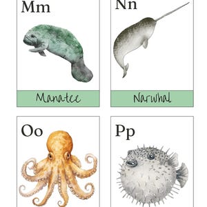 Ultimate Ocean Learning Pack 53 PAGES - Etsy Australia