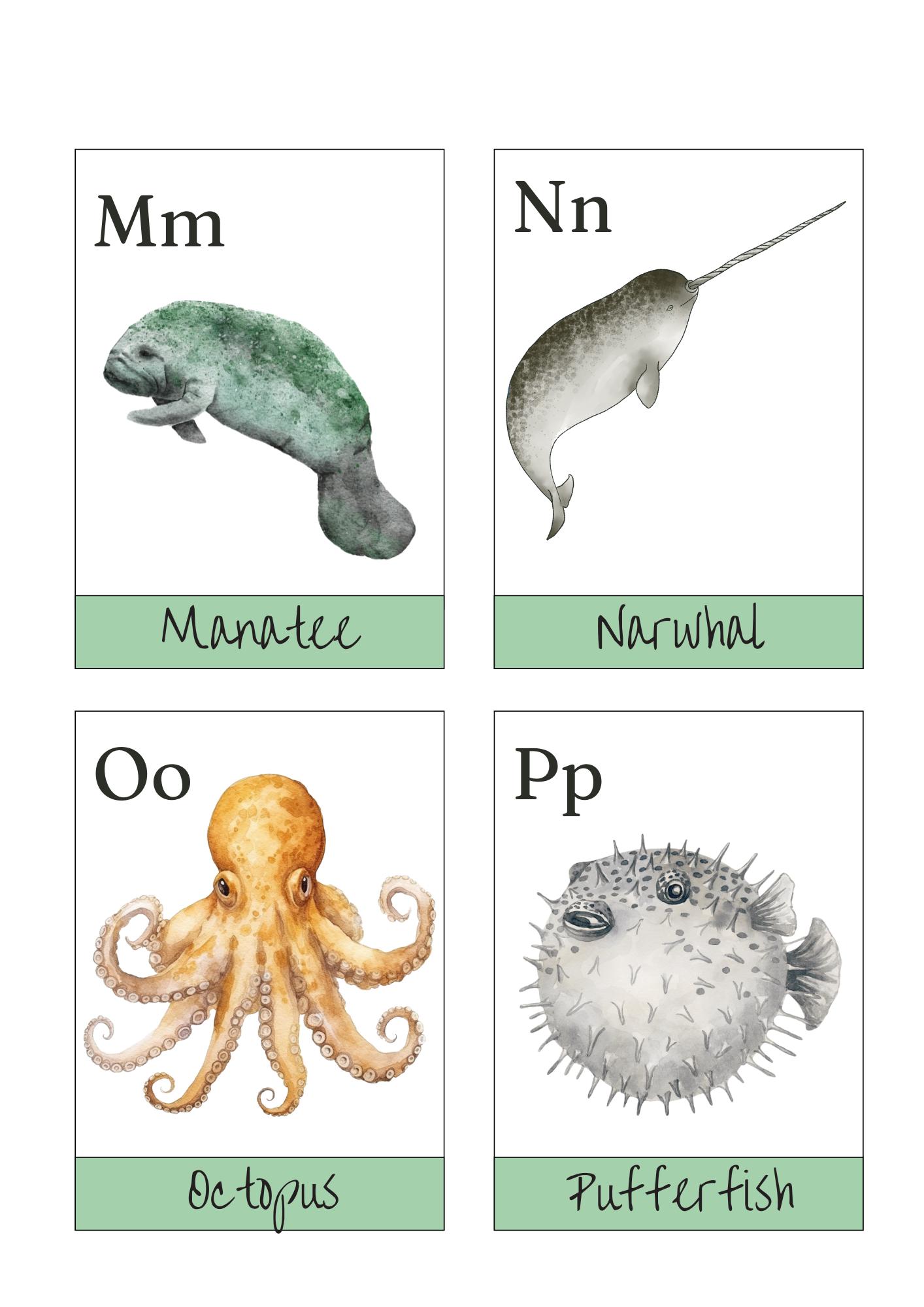 Ultimate Ocean Learning Pack 53 PAGES - Etsy Australia