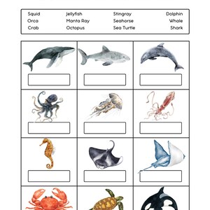 Ultimate Ocean Learning Pack 53 PAGES - Etsy Australia