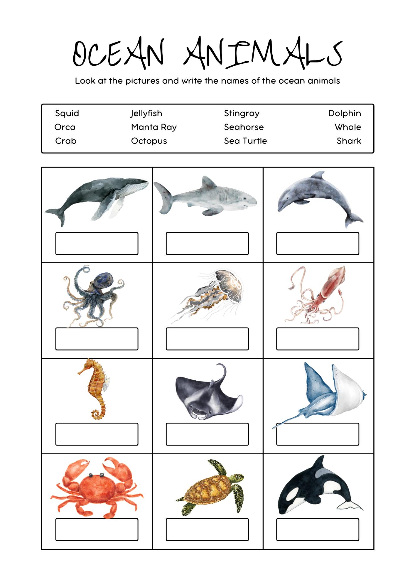 Ultimate Ocean Learning Pack 53 PAGES - Etsy Australia