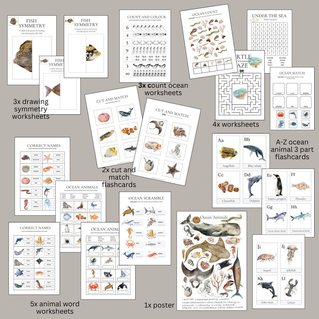 Ultimate Ocean Learning Pack 53 PAGES - Etsy Australia