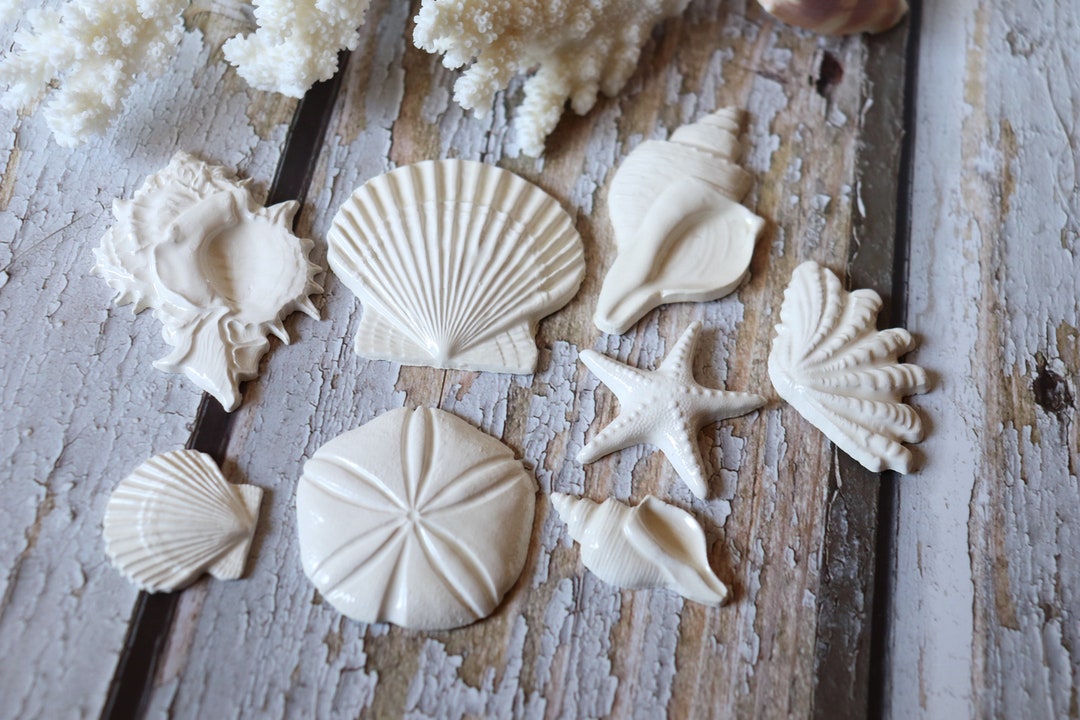 Seashell Mosaic Tile Set, White, Sea Shells, Beachy Decorating, 8 ...