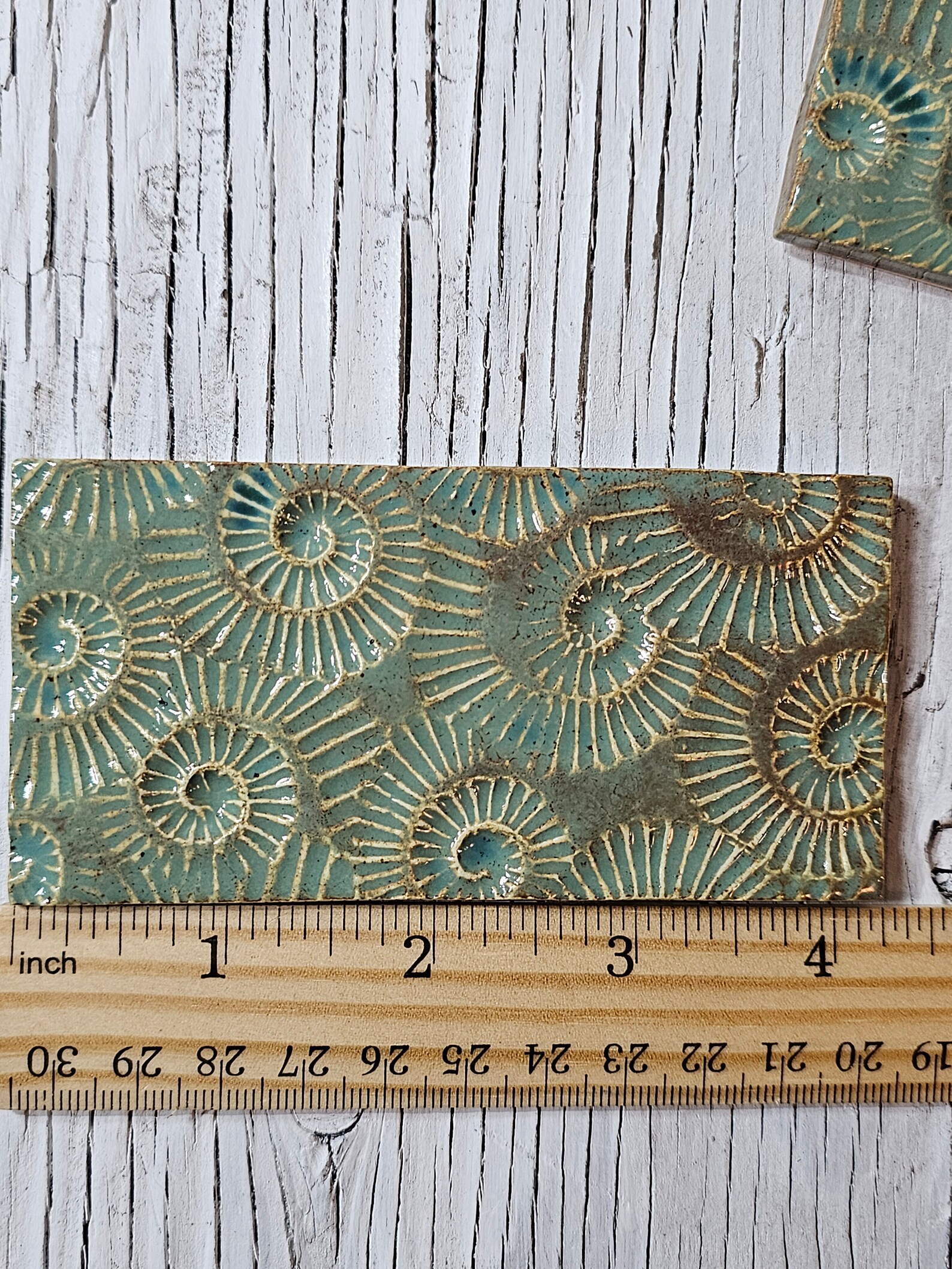 Sea Fossils Ceramic Tile Set 2 X 4 Inches Sea Green - Etsy