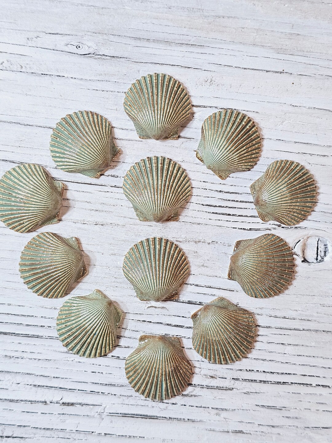 Seashell Mosaic Tile Set Mossy Sea Green 12 Pieces - Etsy