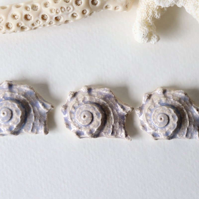 Sea Shell Tiles - Etsy