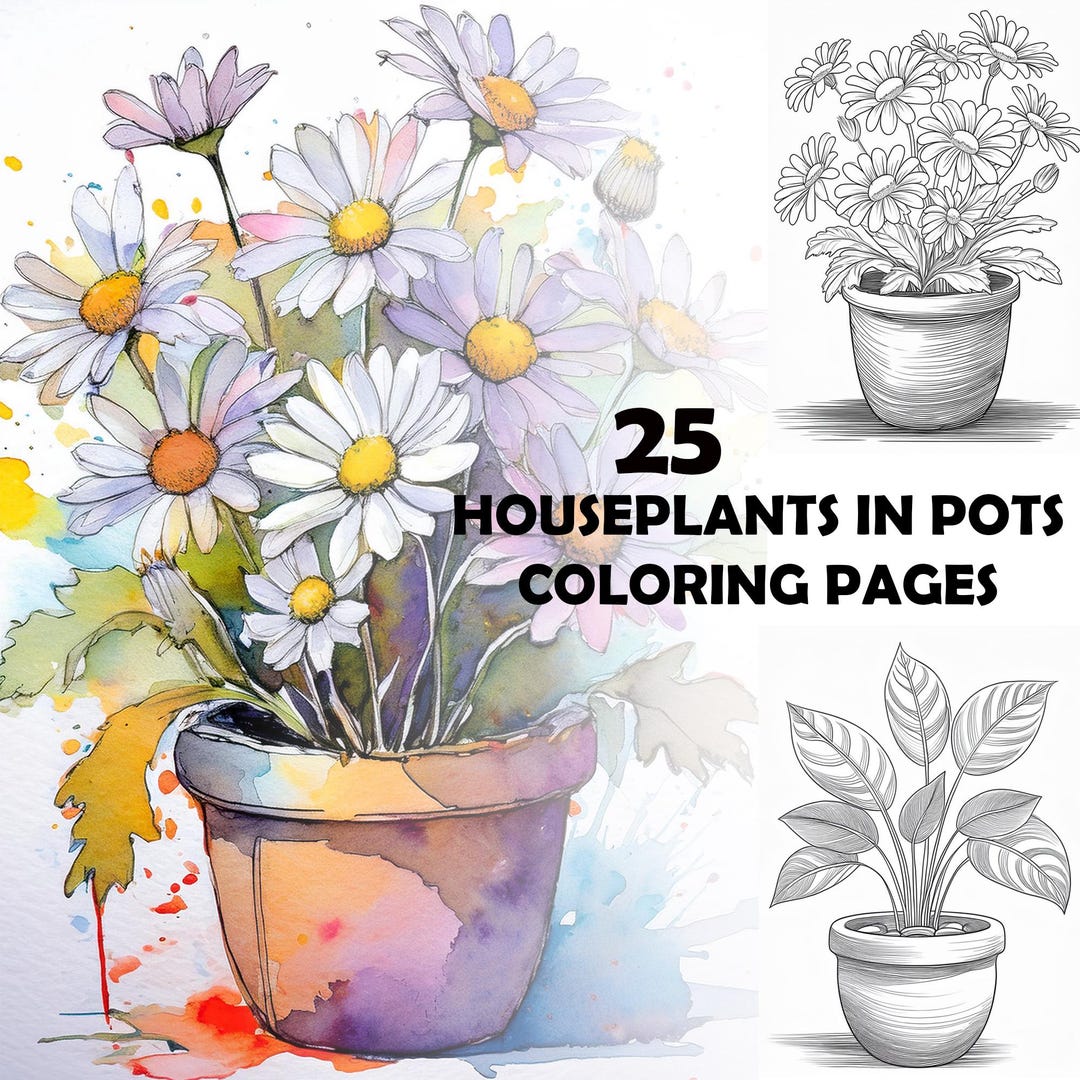Houseplants in Pots Coloring Pages, Floral Coloring Pages, Flowers ...