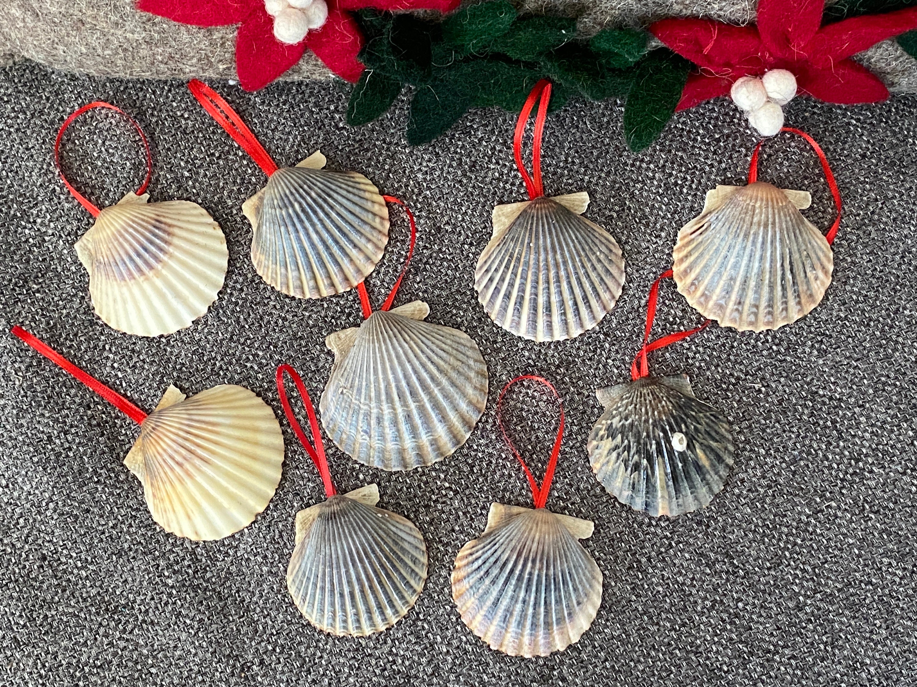 Variety of Cape May New Jersey Scallop Shell Ornaments Signs, Logos ...
