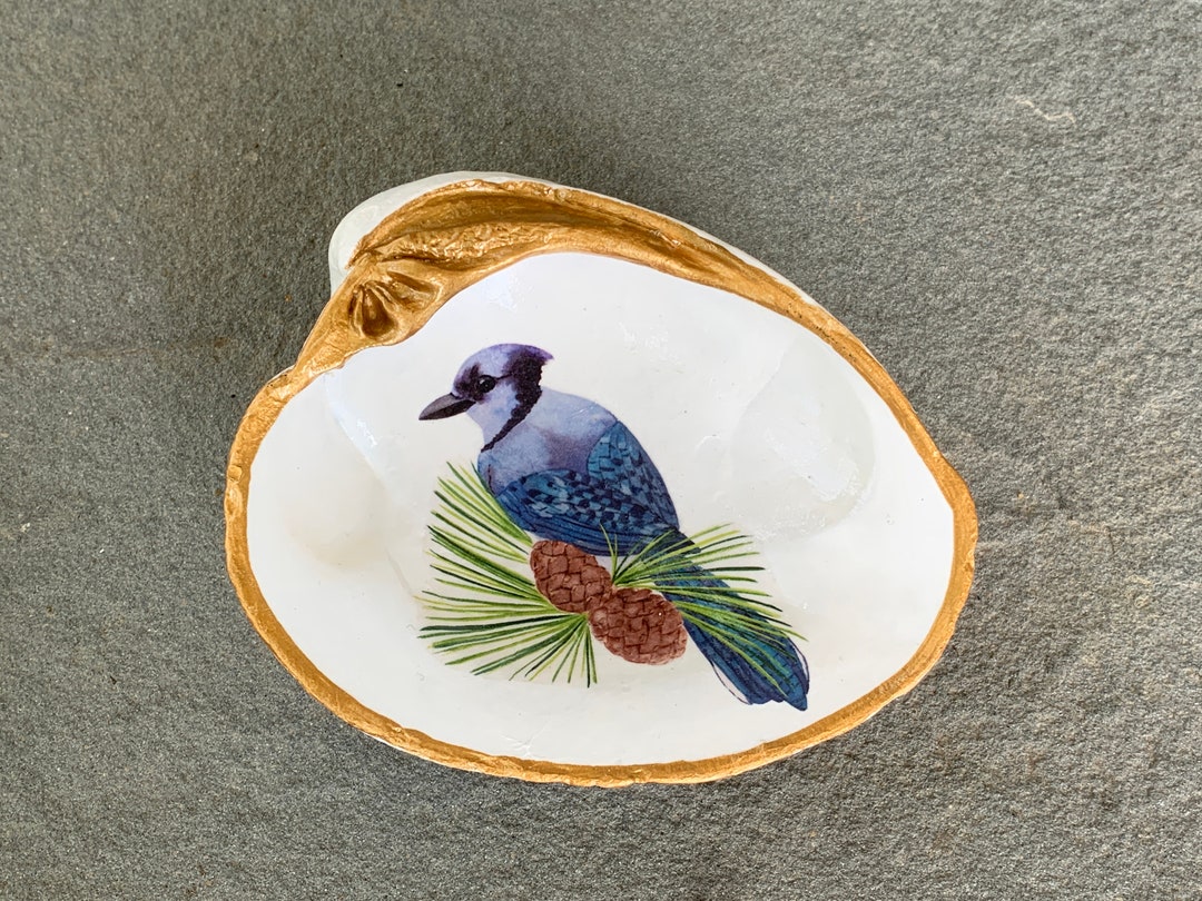 Jumbo Round Gold Trimmed Blue Jay Decoupage Clamshell Jewelry or ...