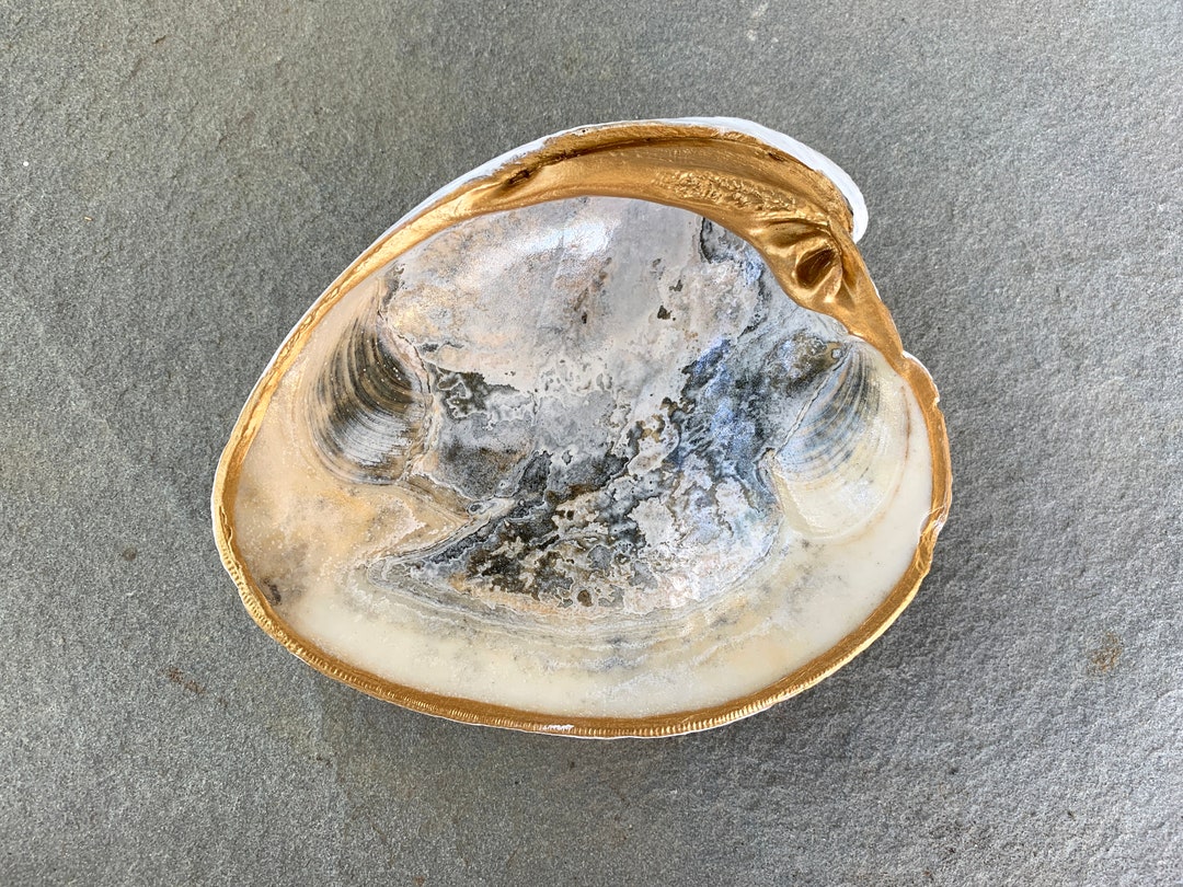 Jumbo Round Gold Rimmed Natural Beauty Decoupage Clamshell Trinket or ...