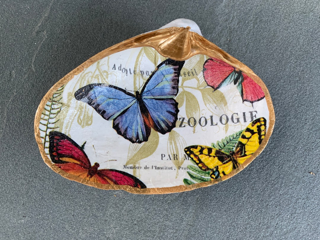 Medium Gold Trimmed Butterfly Decoupage Clamshell Trinket or Jewelry ...