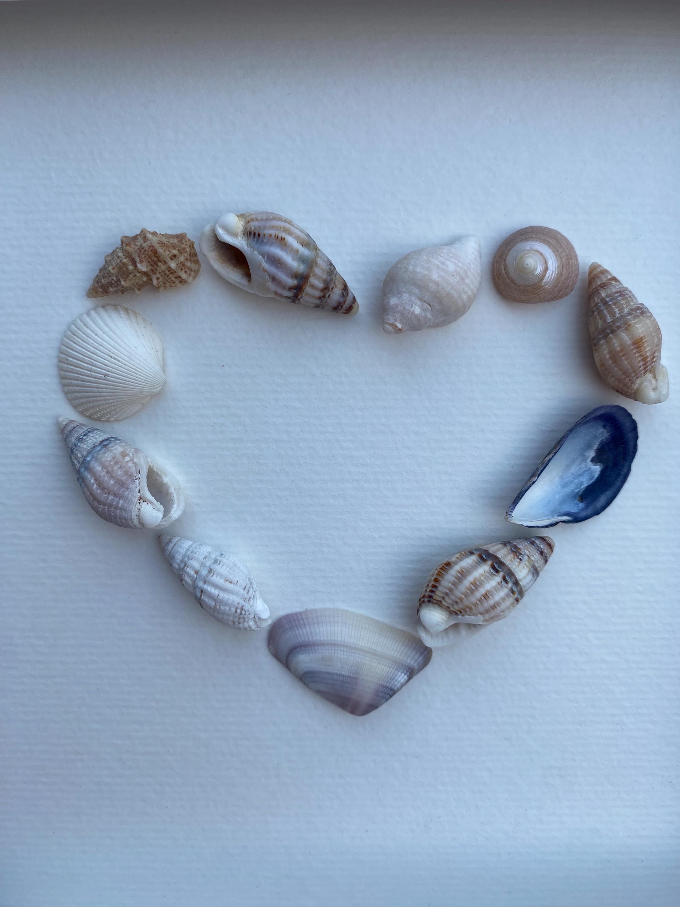 Sea Shell Heart - Etsy UK