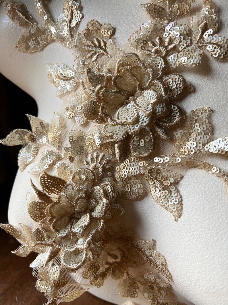 CHAMPAGNE GOLD 3d Applique Beaded With Sequins for Lyrical Dance ...