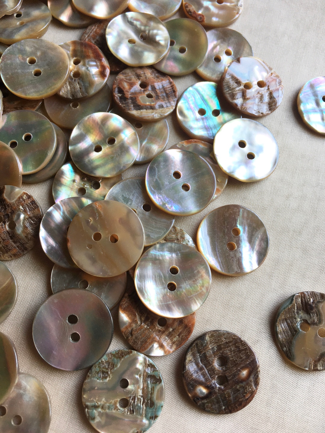 8 Abalone Buttons 24L 15mm for Knitting Jewelry Garments - Etsy
