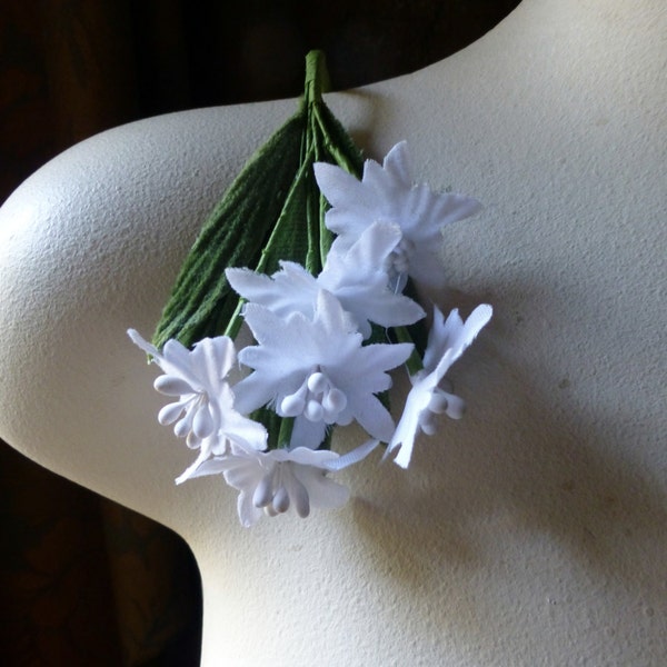 Edelweiss Flowers - Etsy