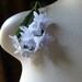 Edelweiss Flowers in White for Bridal, Boutonierres, Garlands, Crowns ...