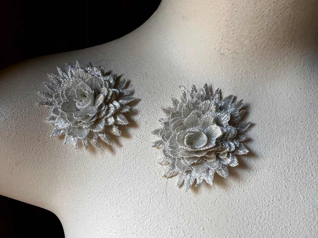 2 Champagne Silver 3D Flower Appliques: Lyrical Dance, Ballet Costumes ...