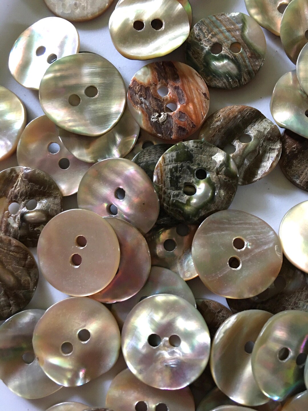 10 Abalone Buttons 24L 15mm for Knitting, Jewelry, Garments, Crafts BU ...