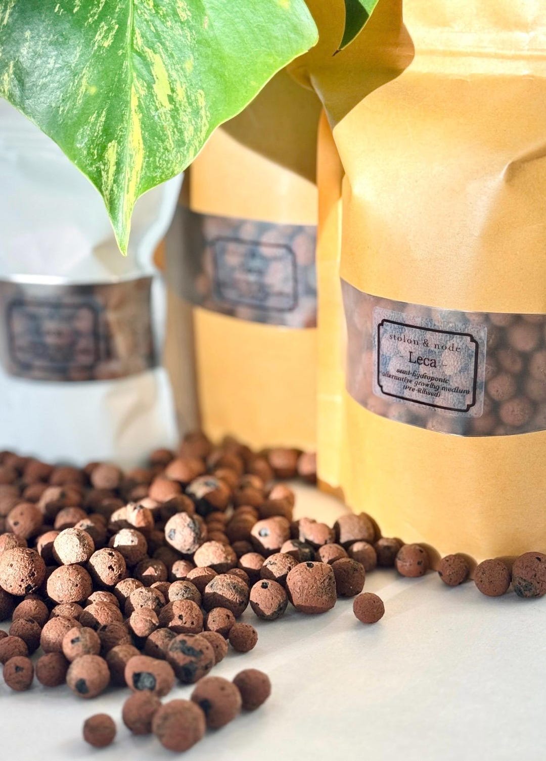 LECA Clay Pebbles, Soil Alternative, Soilless Potting Medium | Pre ...