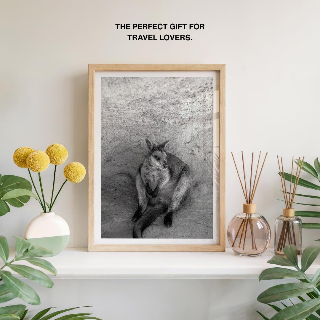 Black and White Wallaby Animal Print, Australia Nursery Print, Animal ...