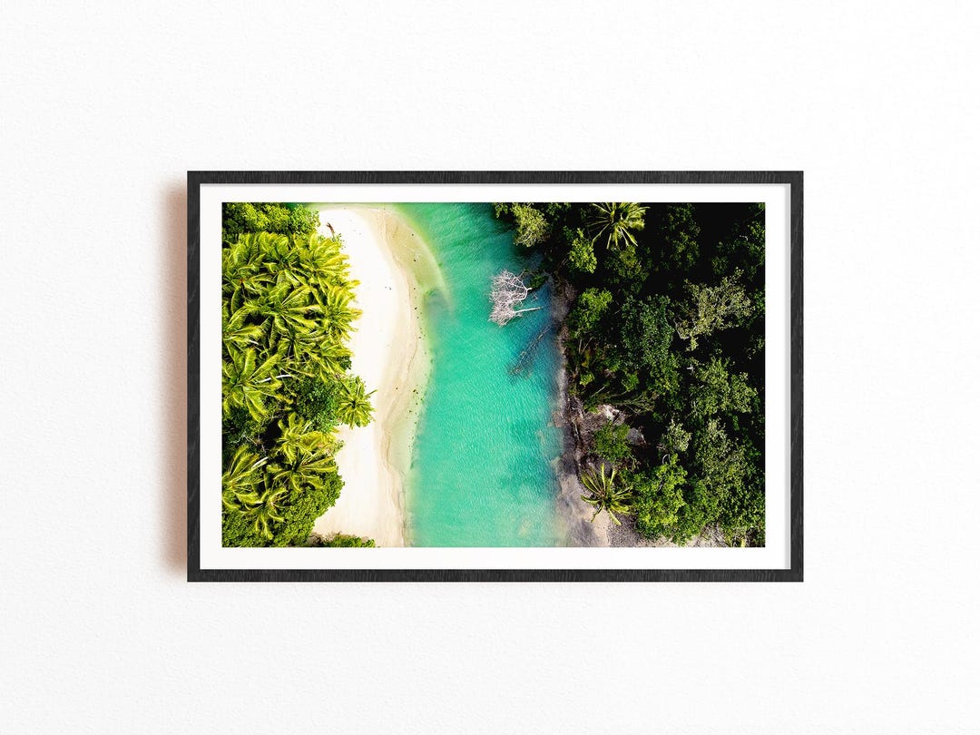 Rainforest Beach Print | Daintree Palm Tree Art | Tropical Wall Decor ...