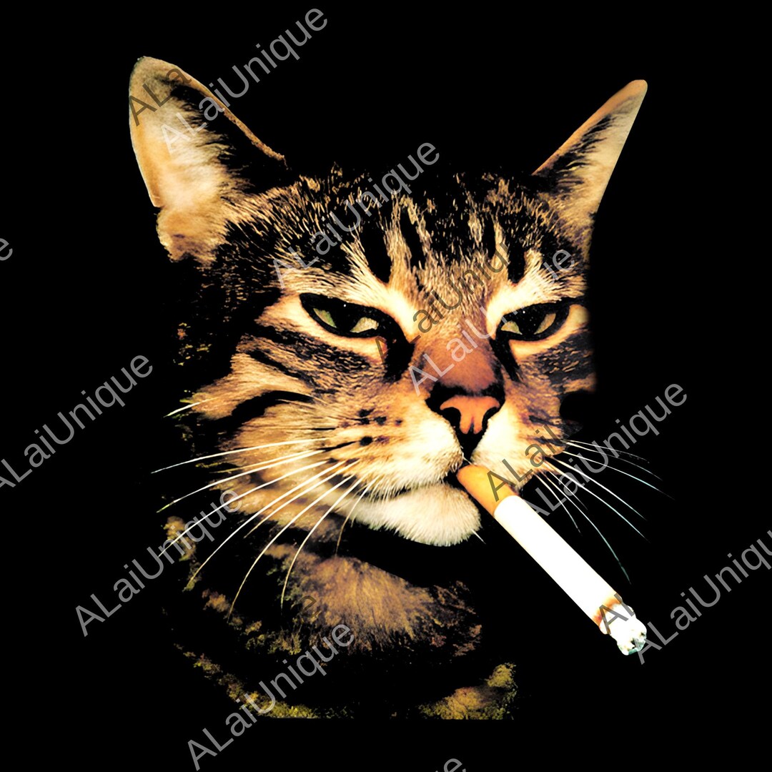 Funny Smoking Cat Meme Png, Cigarette Cat Digital, Gen Z Joke Png ...