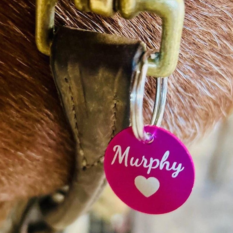 Lead Rope With Name Tag - Etsy