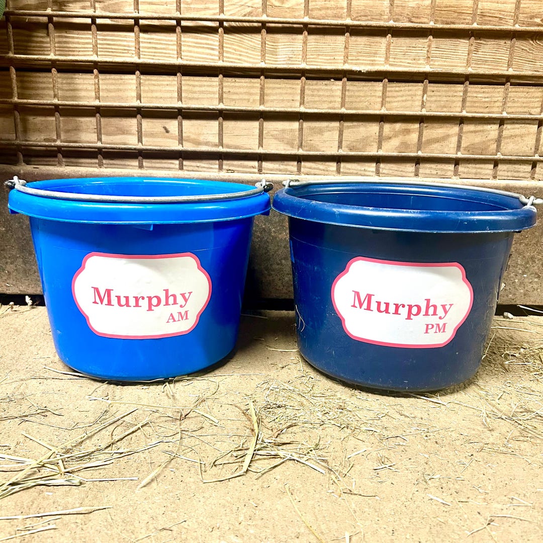 Personalized Horse Feed Bucket Label (set of 2) – Custom Name Tag ...