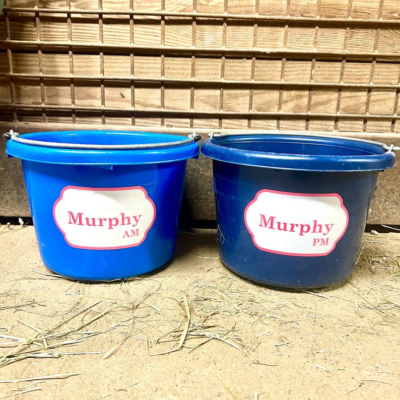 Personalized Horse Feed Bucket Label (set of 2) – Custom Name Tag ...