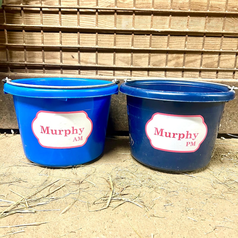 Horse Bucket Monograms - Etsy