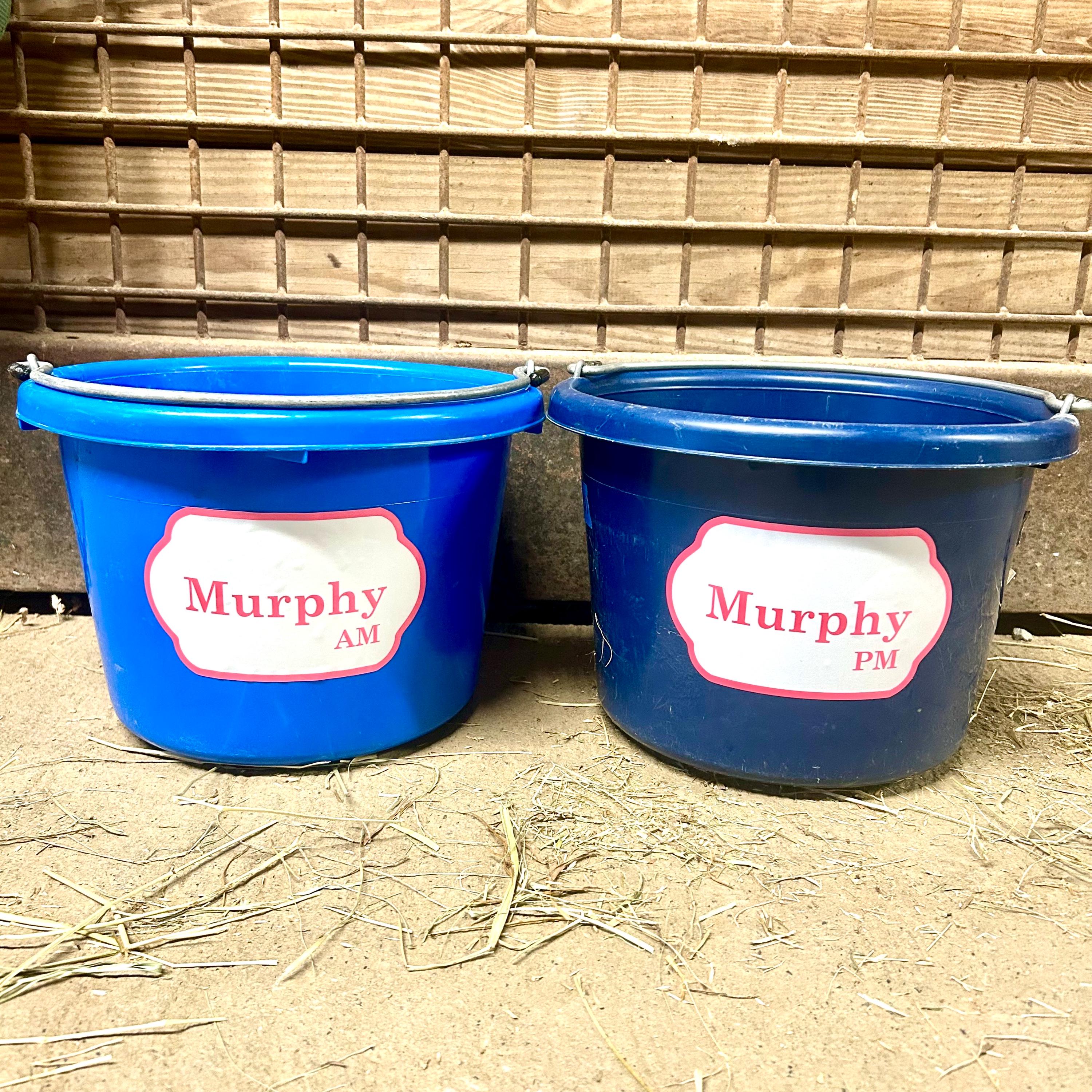 Personalized Horse Feed Bucket Label (set of 2) – Custom Name Tag ...
