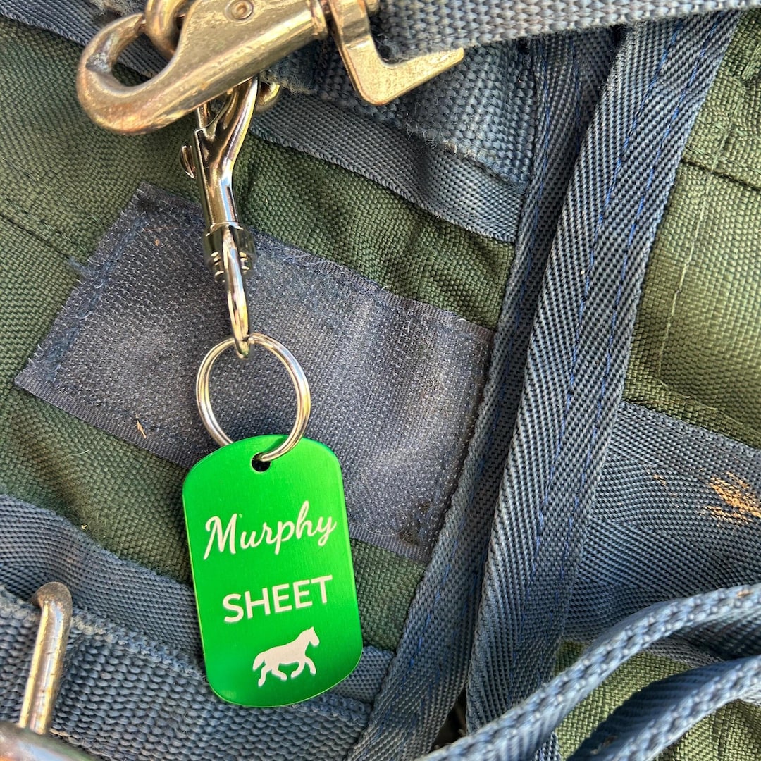 Personalized Horse Blanket Tag, Horse Rug Tag, Tack Tag, Horse Name Tag ...