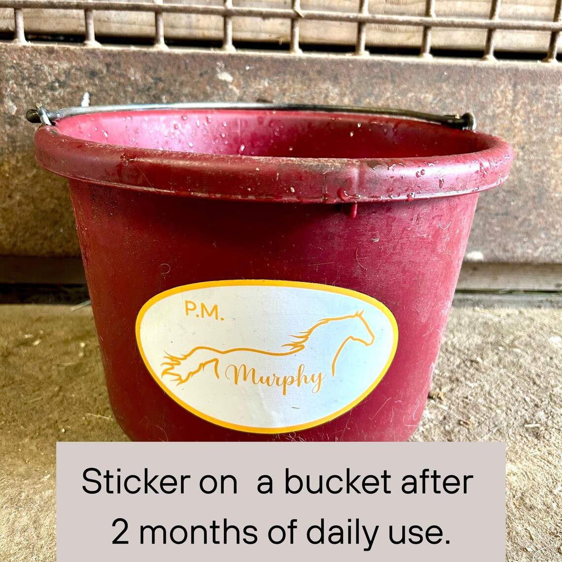Personalized Horse Feed Bucket Label (set of 2) – Custom Name Tag ...