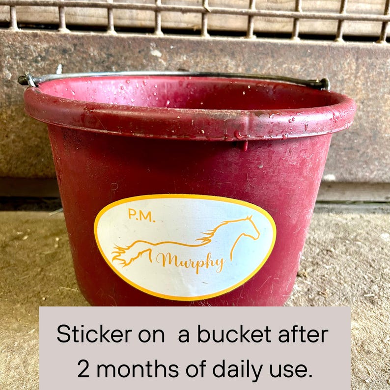 Personalized Horse Feed Bucket Label (set of 2) – Custom Name Tag ...