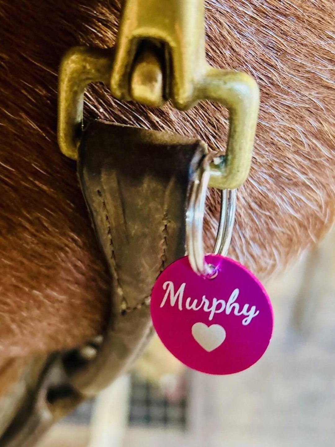 Personalized Halter Blanket Tag, Bridle Tag, Tack Tag, Horse Name Tag ...