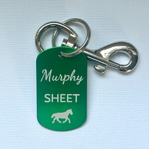 Personalized Horse Blanket Tag, Horse Rug Tag, Tack Tag, Horse Name Tag ...