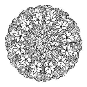 40 Adult Mandala Floral Colouring Pages for Mindfulness, Relaxation and ...