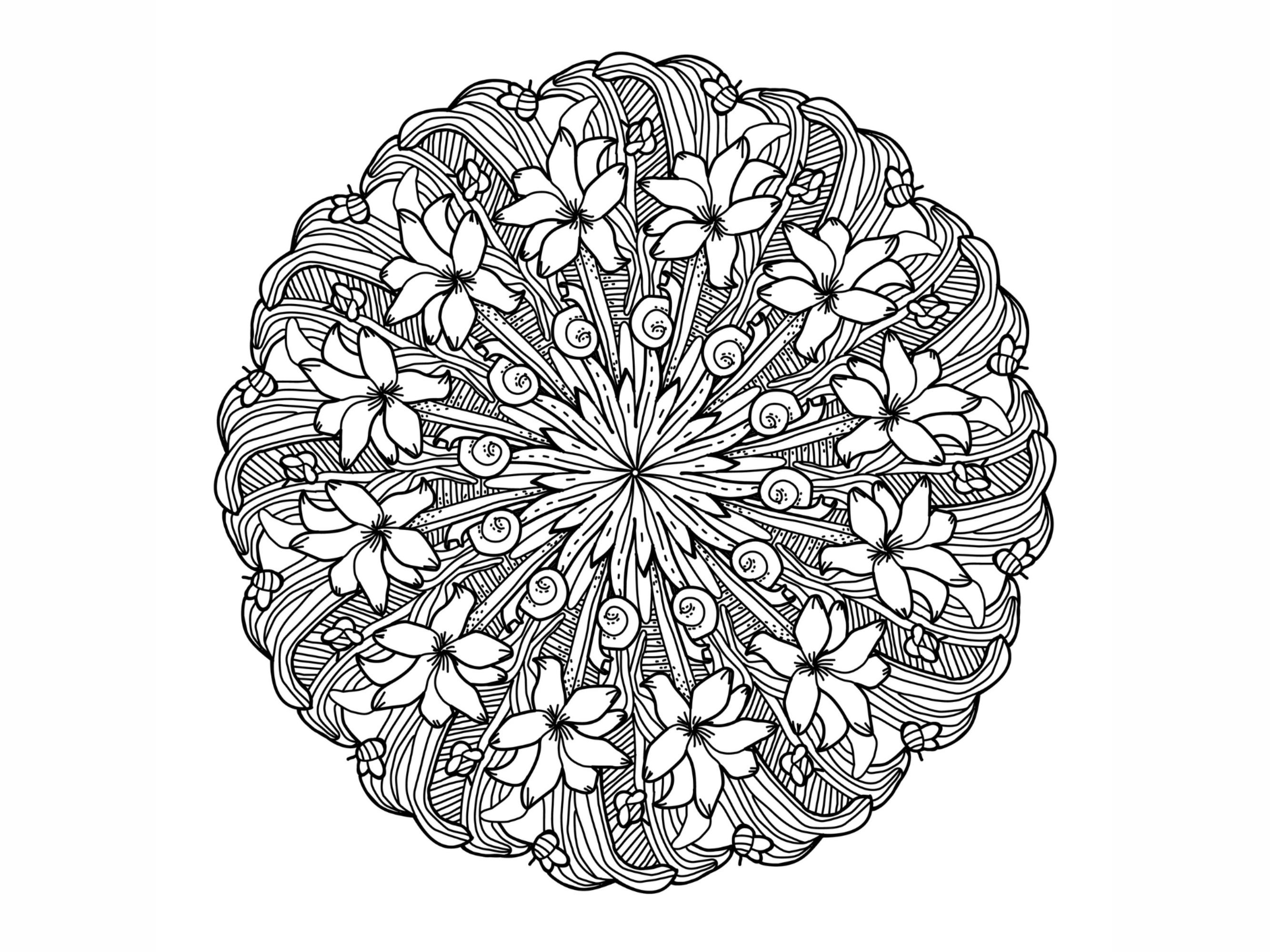 40 Adult Mandala Floral Colouring Pages for Mindfulness, Relaxation and ...