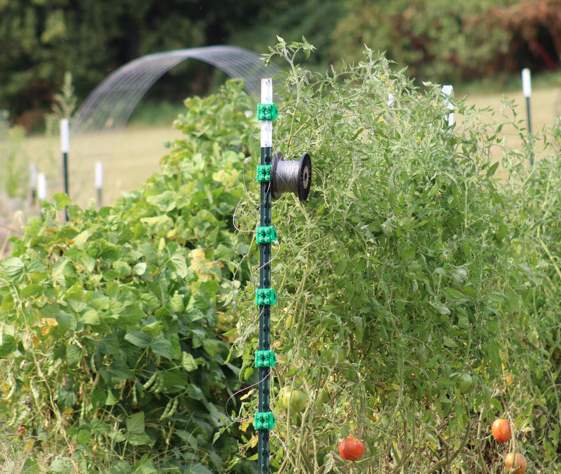 T-post Trellis - Etsy