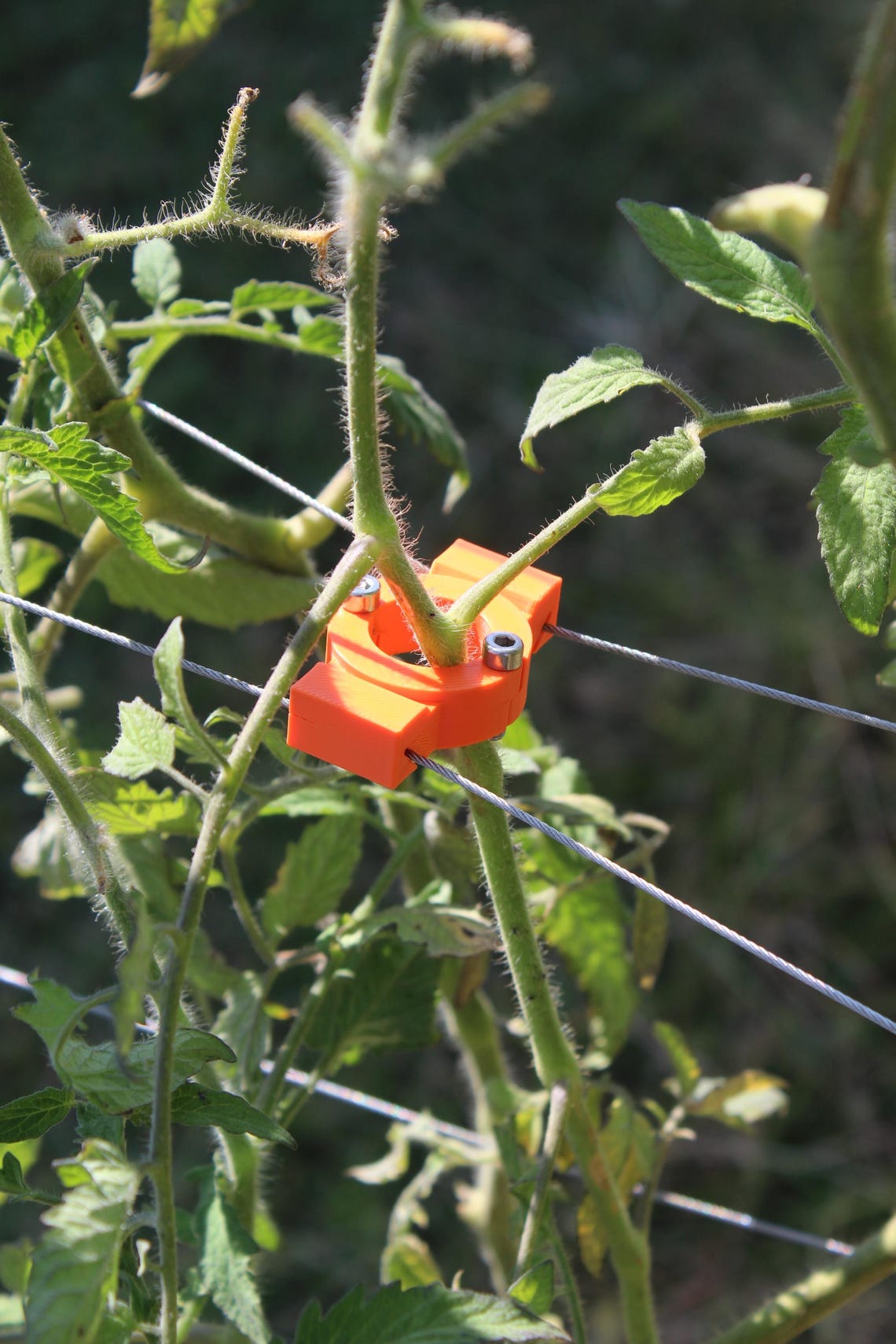 T-post Trellis - Etsy