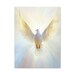 Radiant White Dove Spiritual Art Print - Peaceful Dove Illustration ...