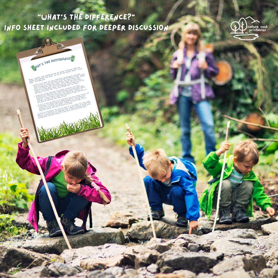 Bug Insect and Arachnid Scavenger Hunt, Printable Camping Games ...