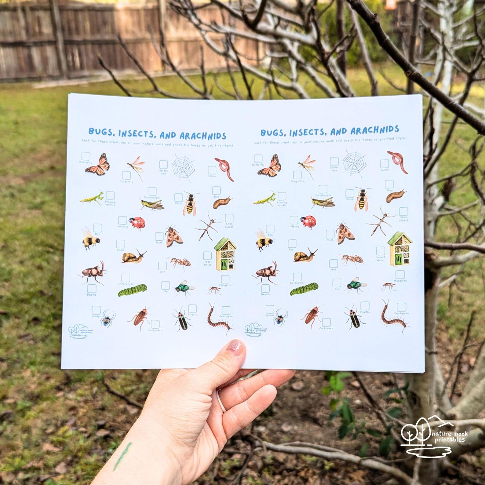 Bug Insect and Arachnid Scavenger Hunt, Printable Camping Games ...