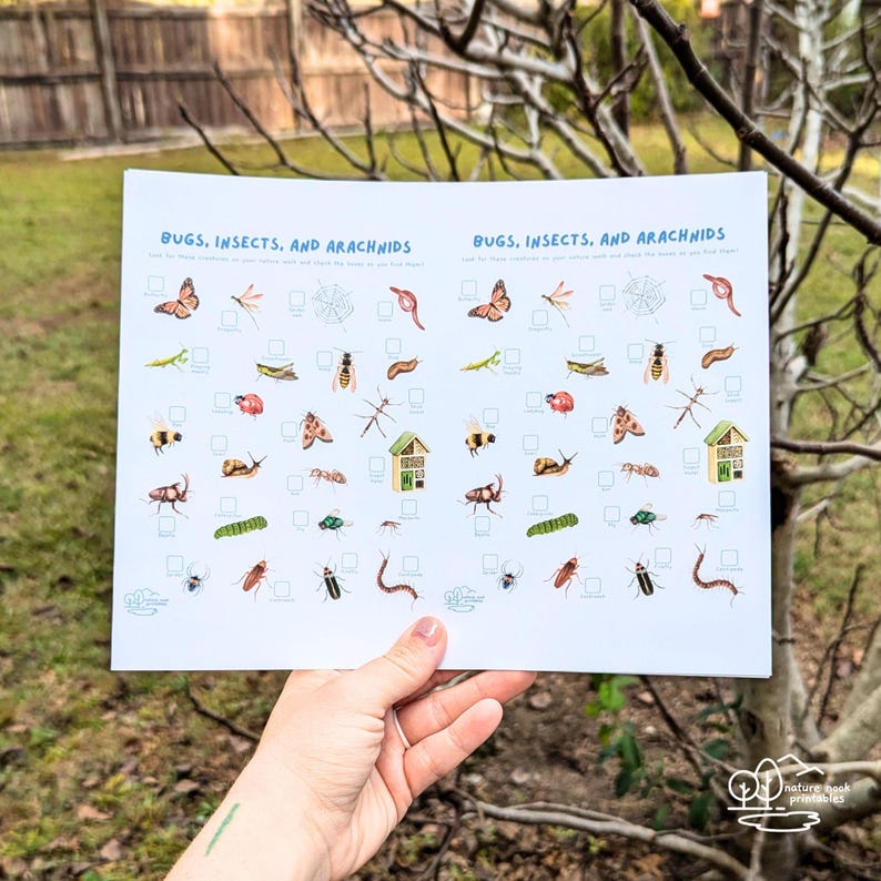 Bug Insect and Arachnid Scavenger Hunt, Printable Camping Games ...