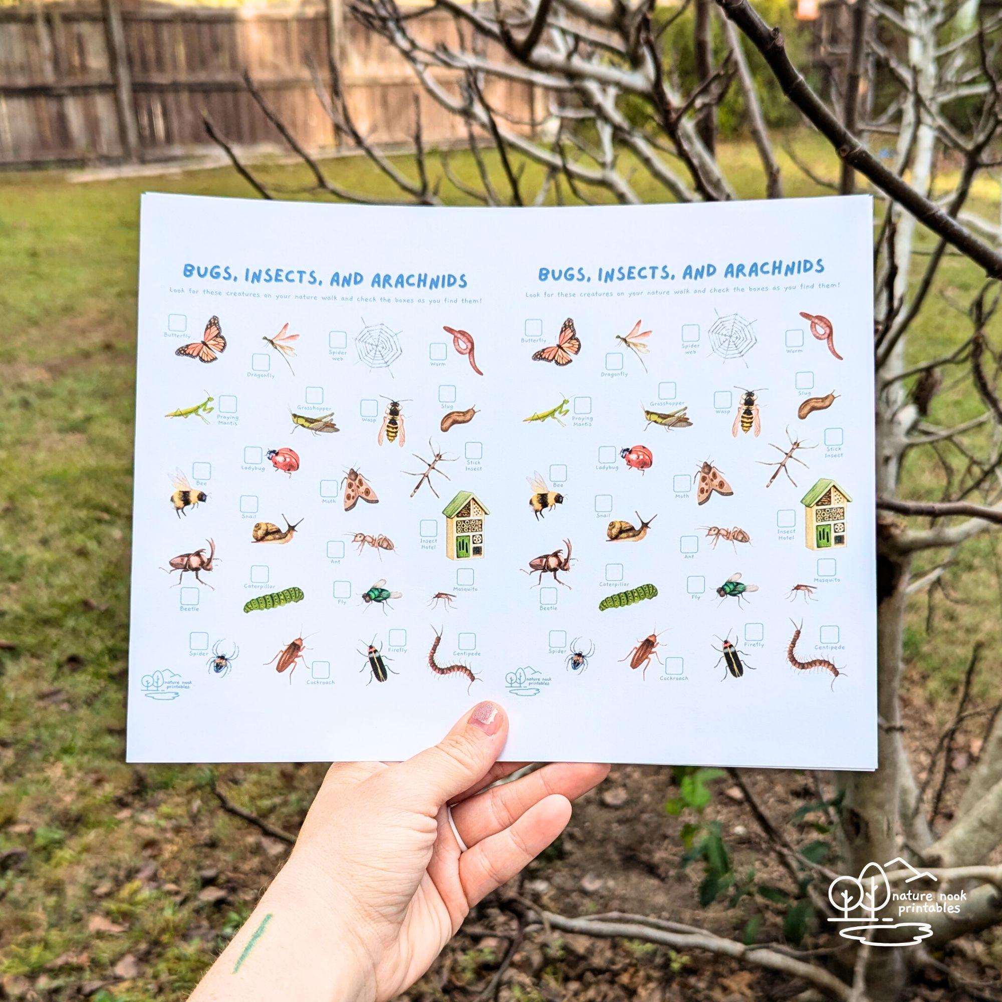 Bug Insect and Arachnid Scavenger Hunt, Printable Camping Games ...