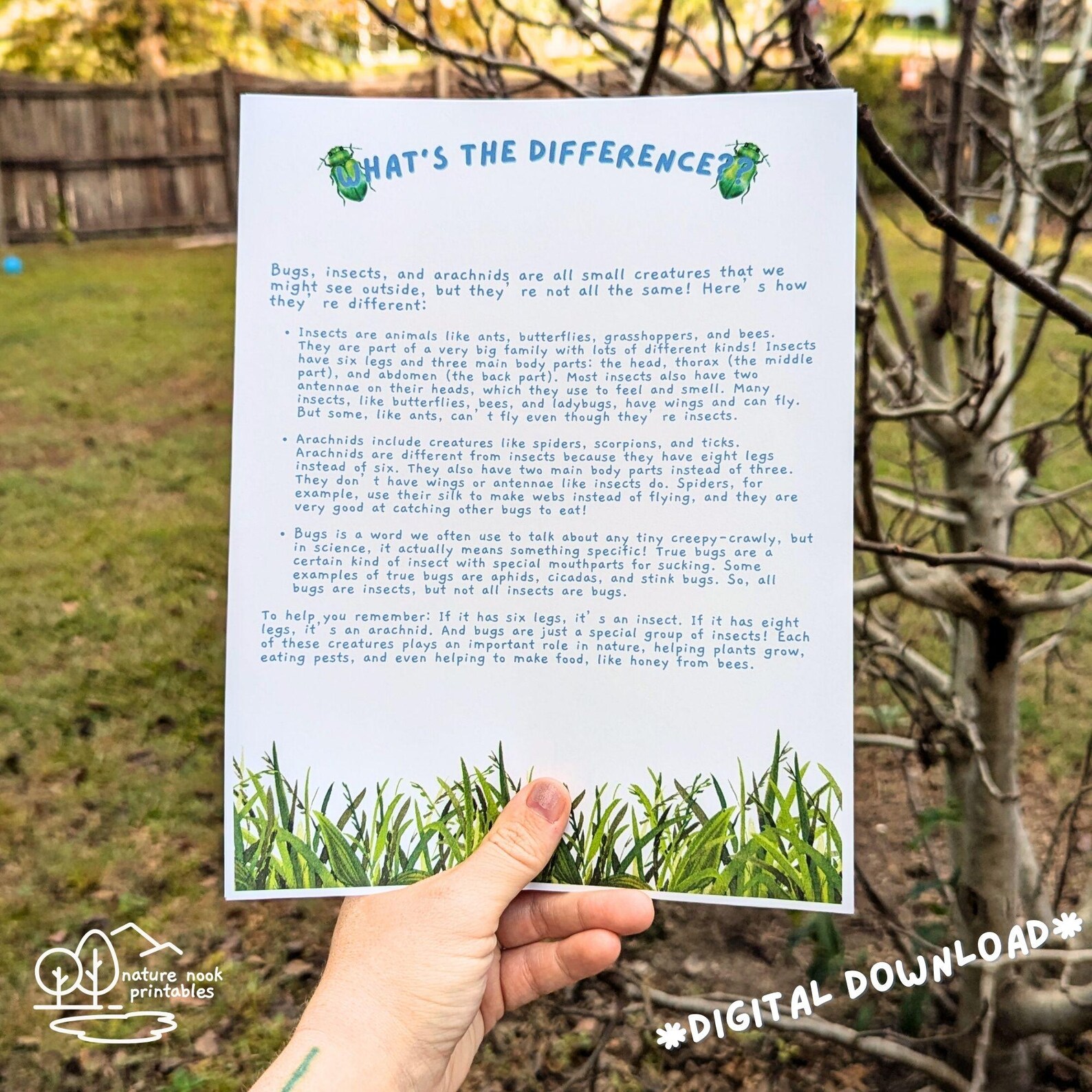 Bug Insect and Arachnid Scavenger Hunt, Printable Camping Games ...