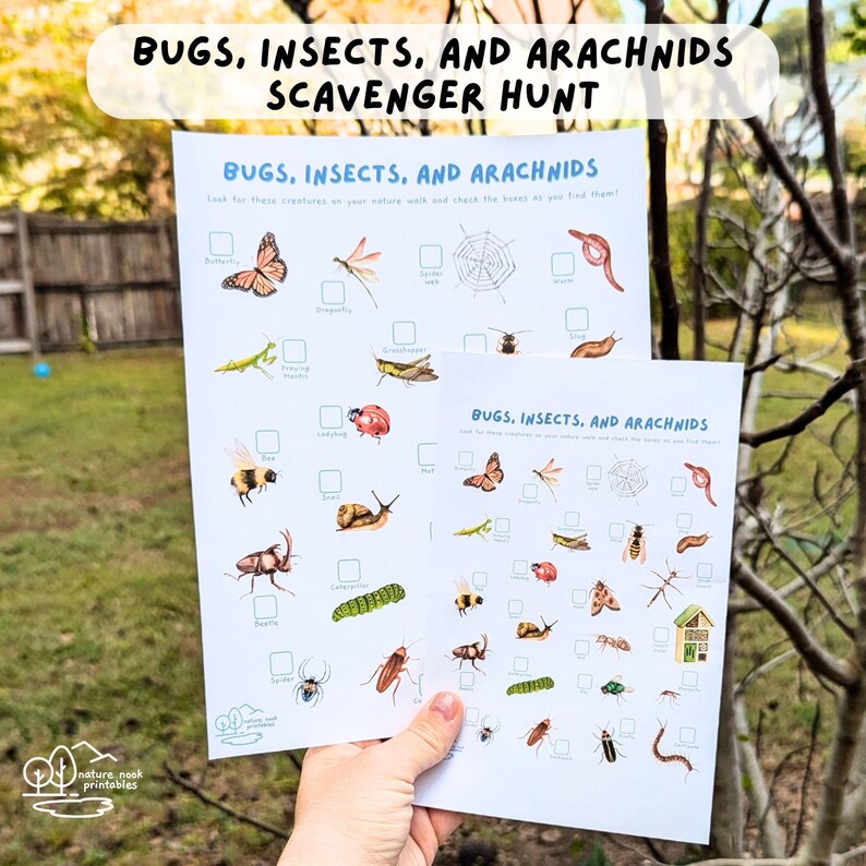 Bug Insect and Arachnid Scavenger Hunt, Printable Camping Games ...