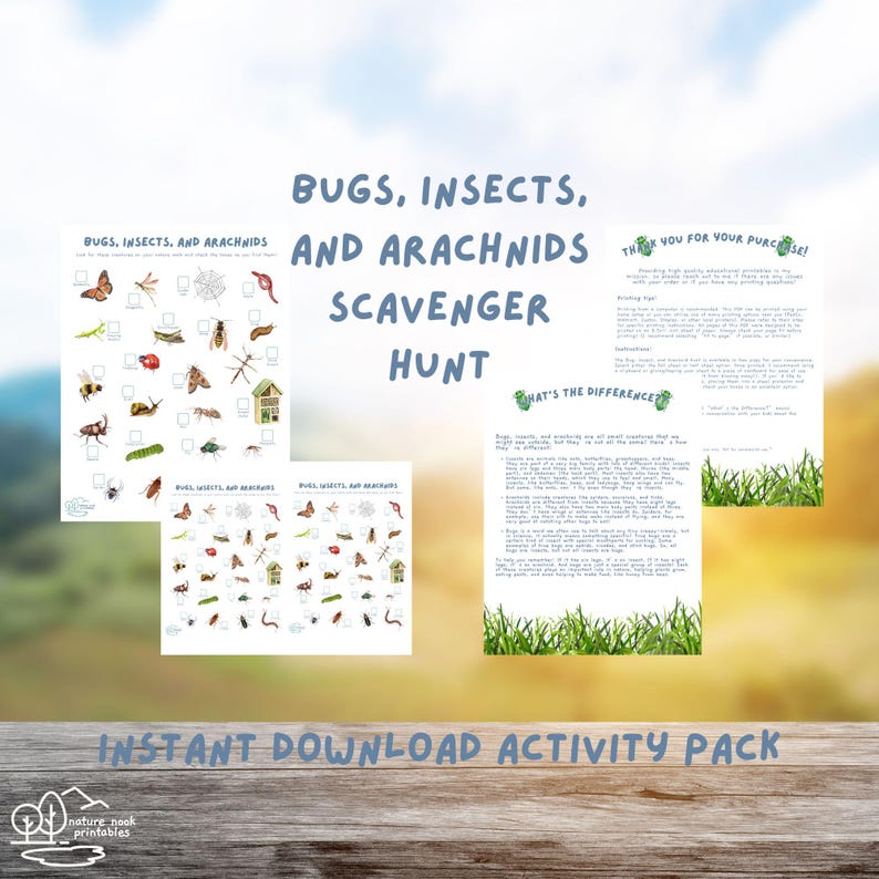 Bug Insect and Arachnid Scavenger Hunt, Printable Camping Games ...