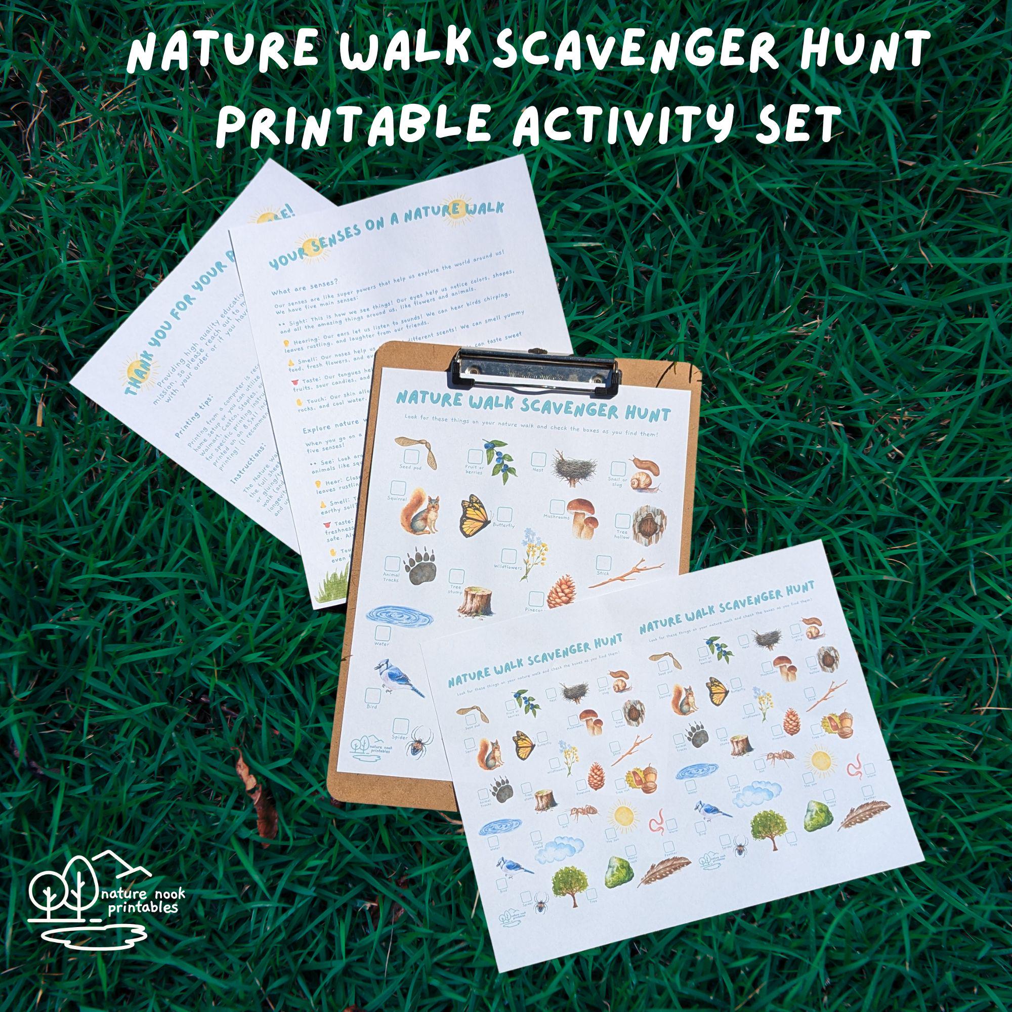 Nature Walk Scavenger Hunt Printable Activity, Nature Printable ...